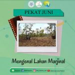 PEKAT JUNI: Mengenal Lahan Marginal – kab.faperta.ugm.ac.id