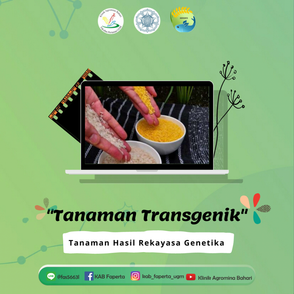 Tahukah kamu Tanaman Transgenik? – kab.faperta.ugm.ac.id