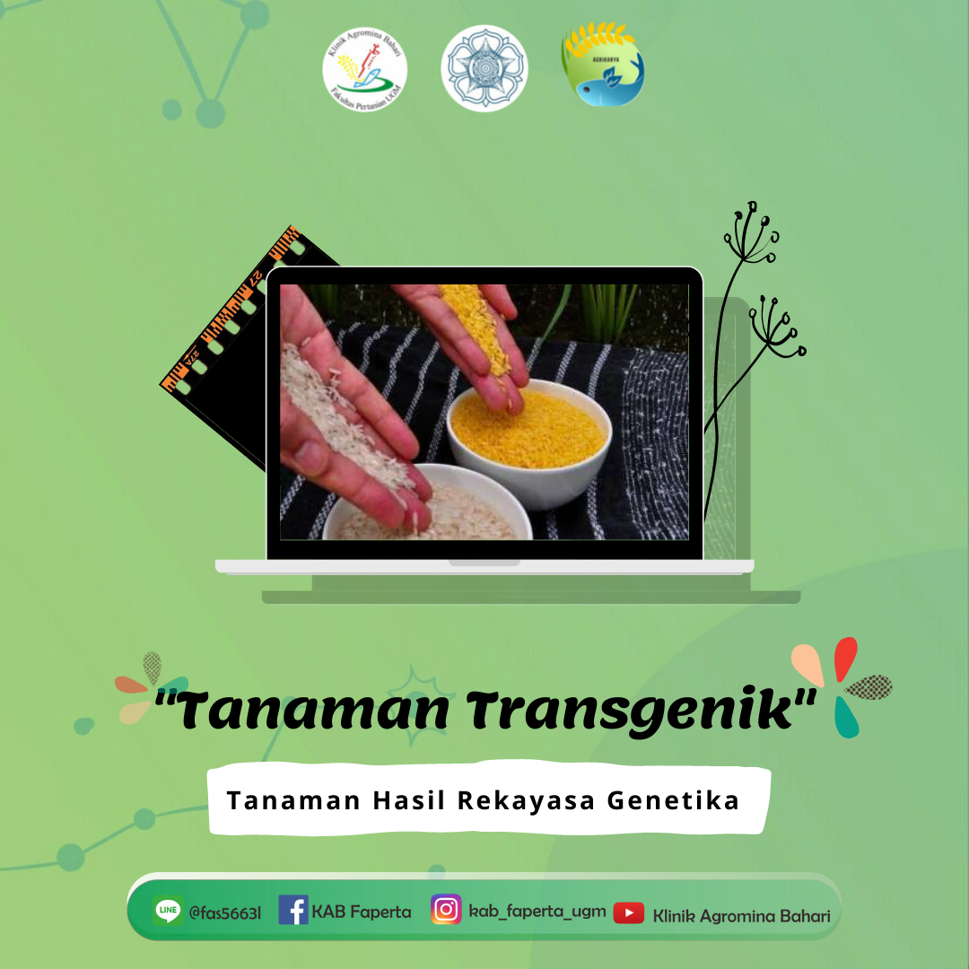 Tahukah kamu Tanaman Transgenik? – kab.faperta.ugm.ac.id